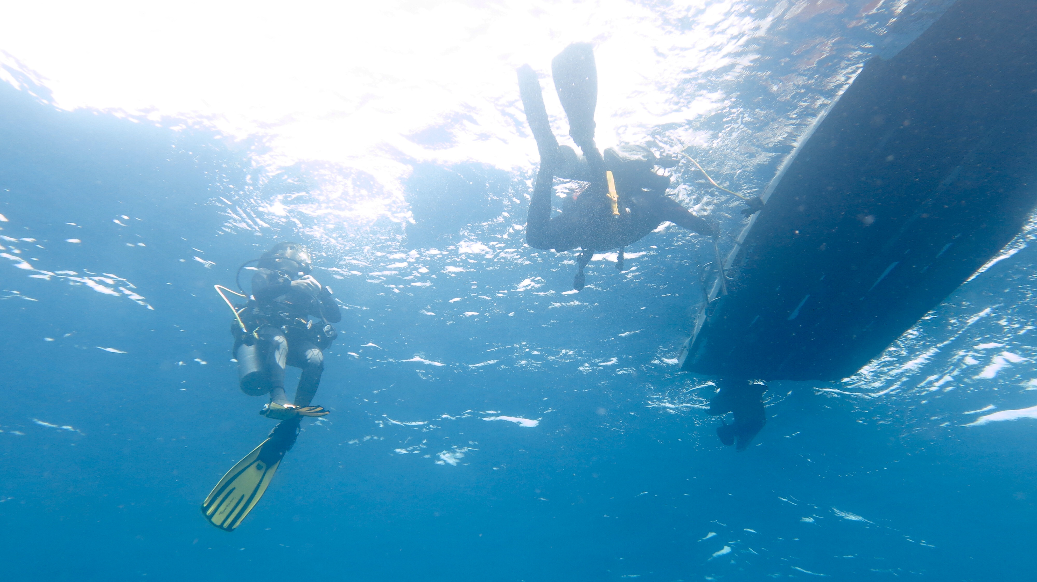 Colombo Divers - Dive Into Adventure
